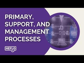 What Is Organizational Process? Meaning, Types, and Real Examples