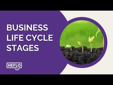 Navigate Business Success: 5 Stages from Startup to Maturity - Click to ...