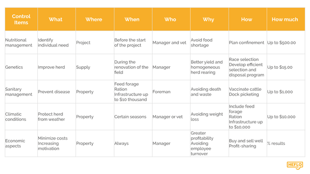 The 5W2H method: see how to put together an efficient action plan